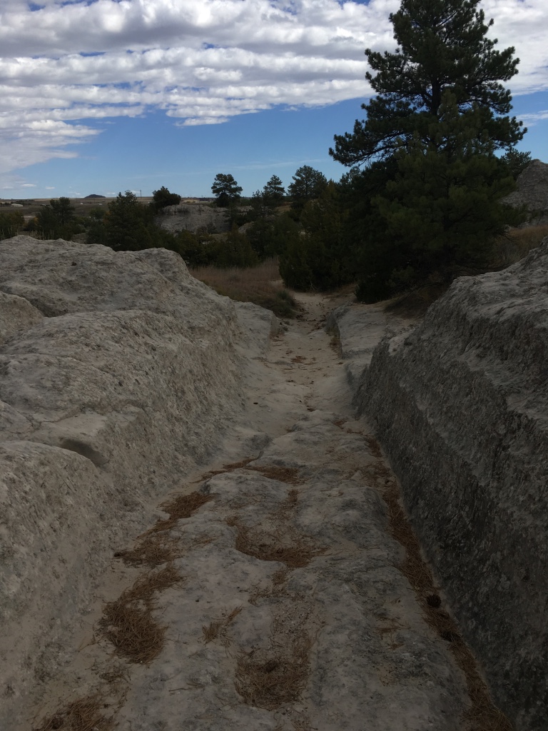 Southern Fried Traveler: Oregon Trail Ruts and Register Cliff