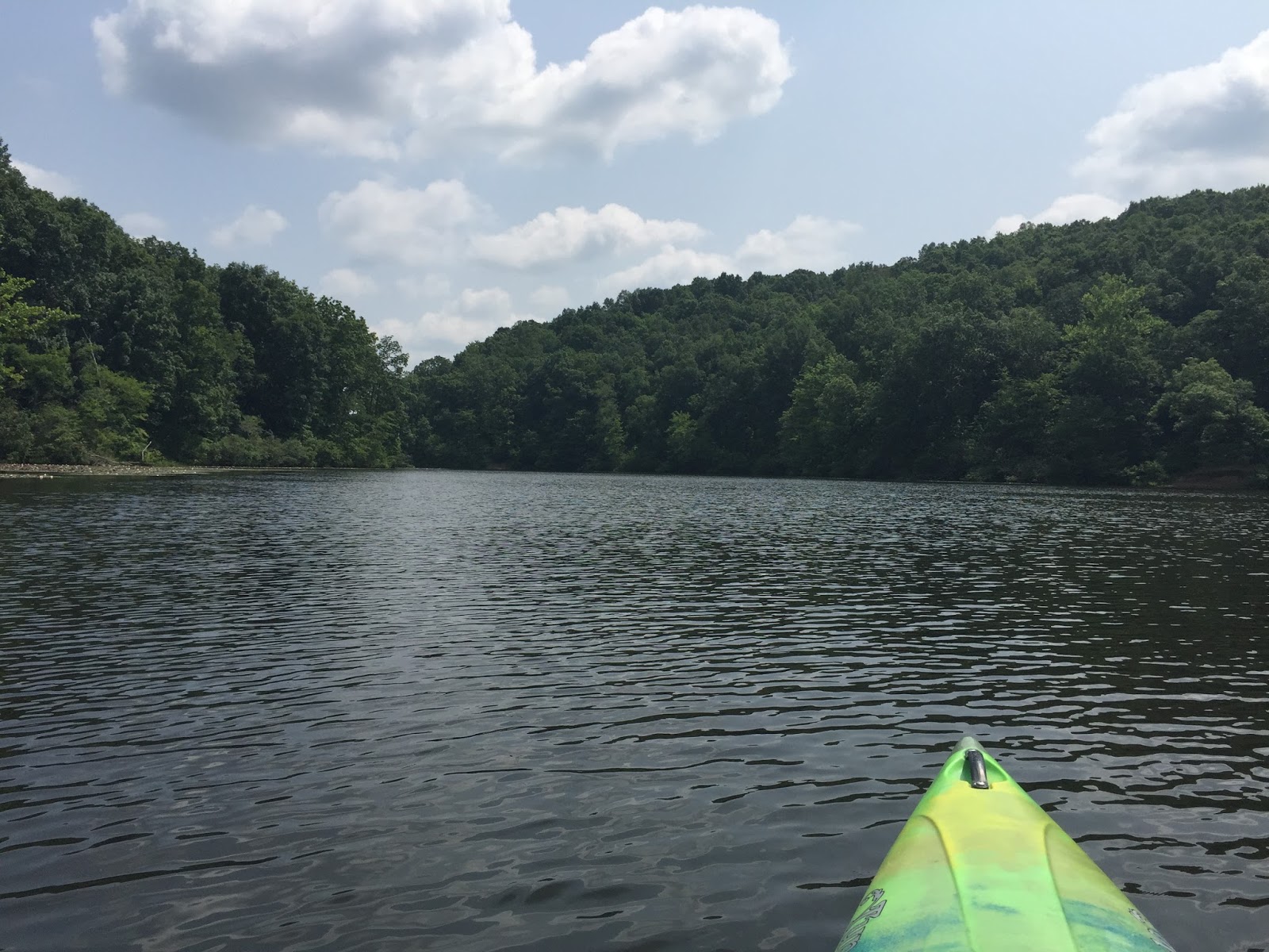 Kayaking Across Ohio: Lake Rupert: Damselflies' Playground