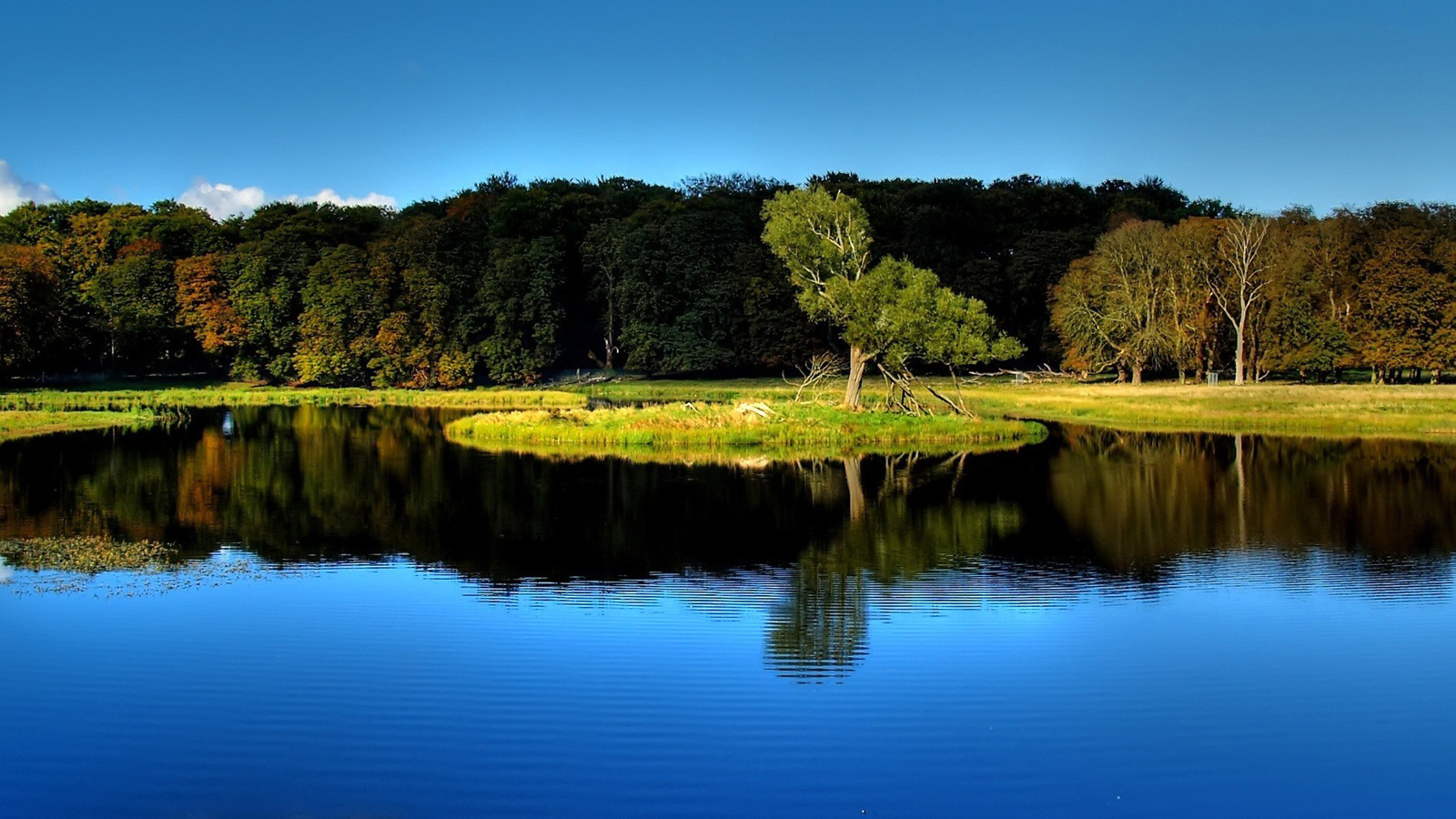 picture collection: netural wallpaper