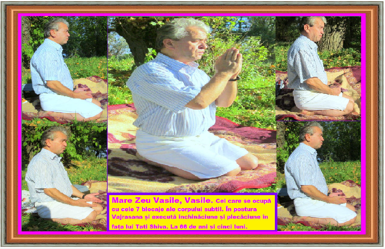 Vasile Ivașca. Yoga Marilor Zeii. Boli și blocaje ale corpului ...