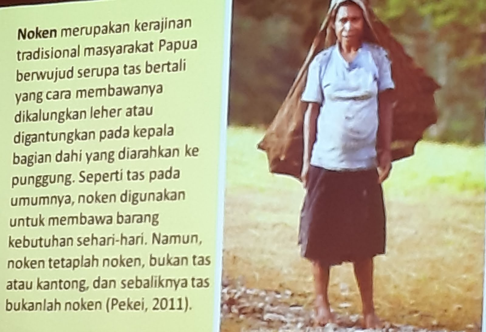NOKEN Warisan Budaya Takbenda Dunia dari Papua - Dian Restu Agustina's Blog