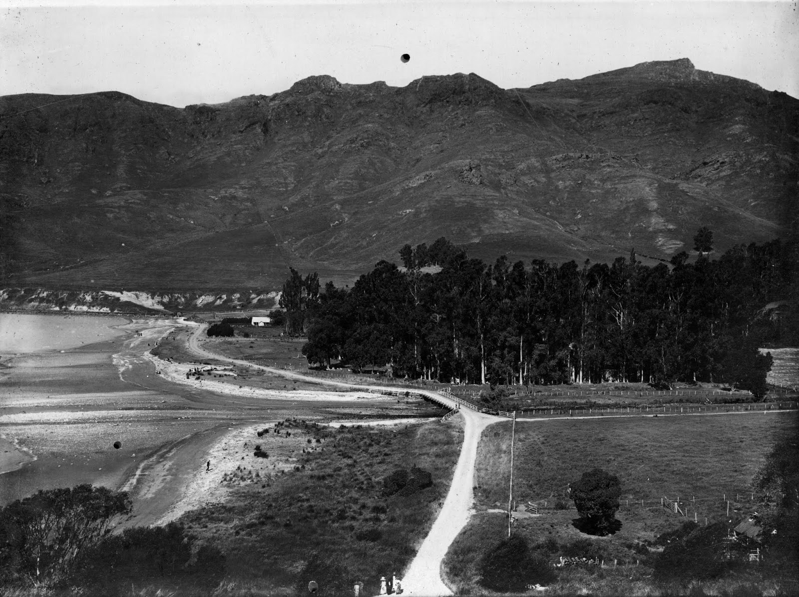 Pūrau #3 - a new jetty