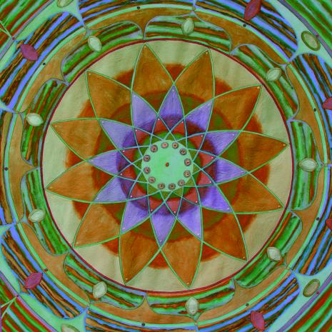 Mandala paintings : Mandala gallery