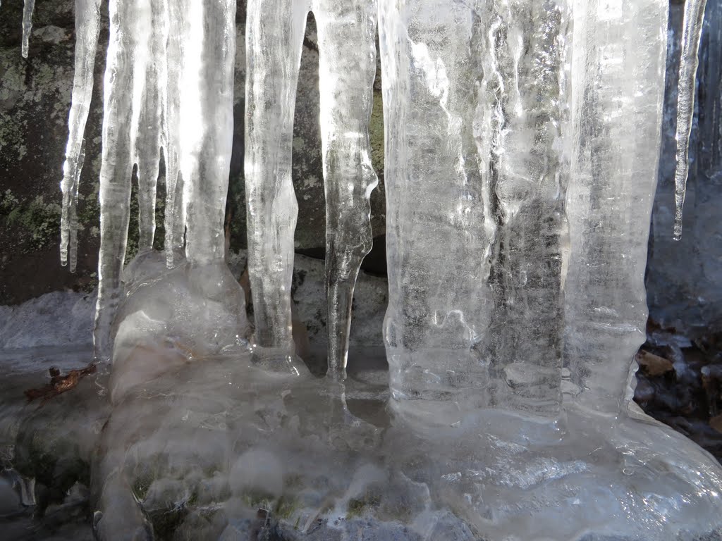 Skookum Traveler: Big Ridge and Cranny Crow (WV)