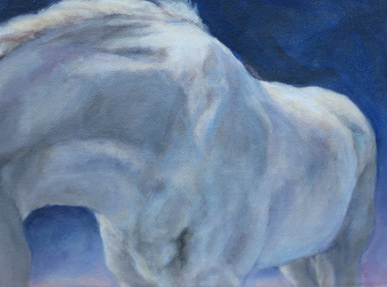 TINA FONG Paintings: Horses