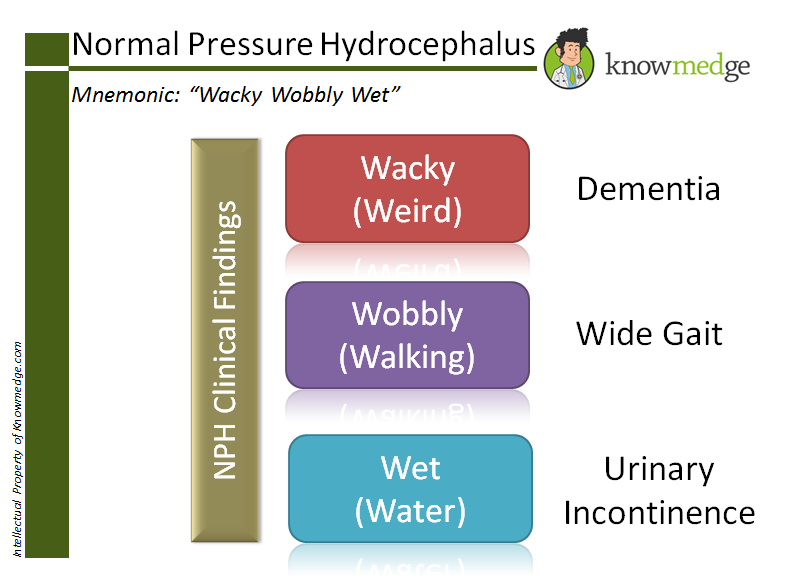Medical Mnemonics: Medical Mnemonics: Symptoms of Normal Pressure ...