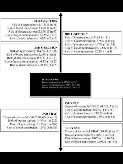 Phoenix Placenta Encapsulation Cesarean Vs VBAC Chart Know The True Information phoenix-placenta-encapsulation-cesarean-vs-vbac-chart-know-the-true-information