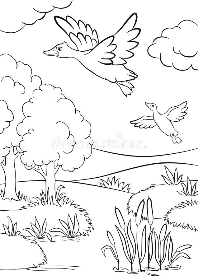 Cute Duck Migration Coloring Pages Animals - Best Coloring Pages For Kids