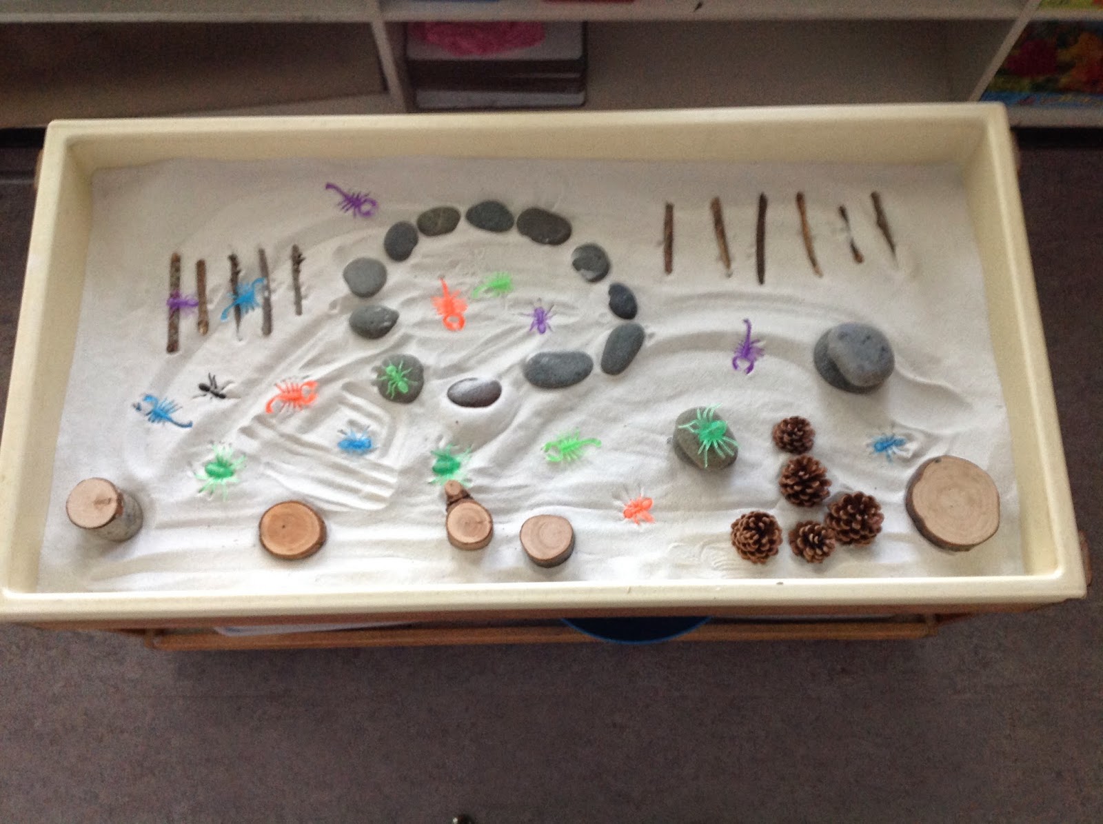 Kindergarten Provocations | Nature Play On Vancouver Island