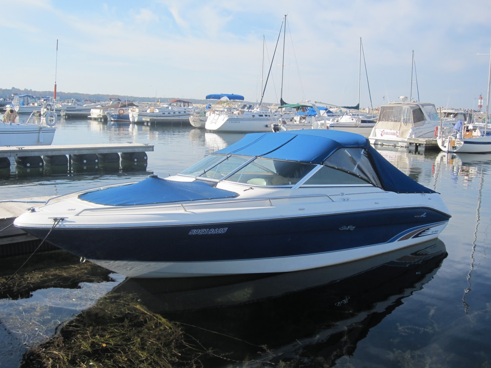 Sea Ray 230: Sea Ray 230 Signature