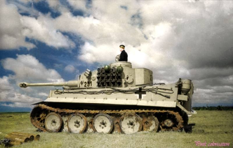 s.Pz.Abt. 502, Tiger N°231, Russia, 06/1943.