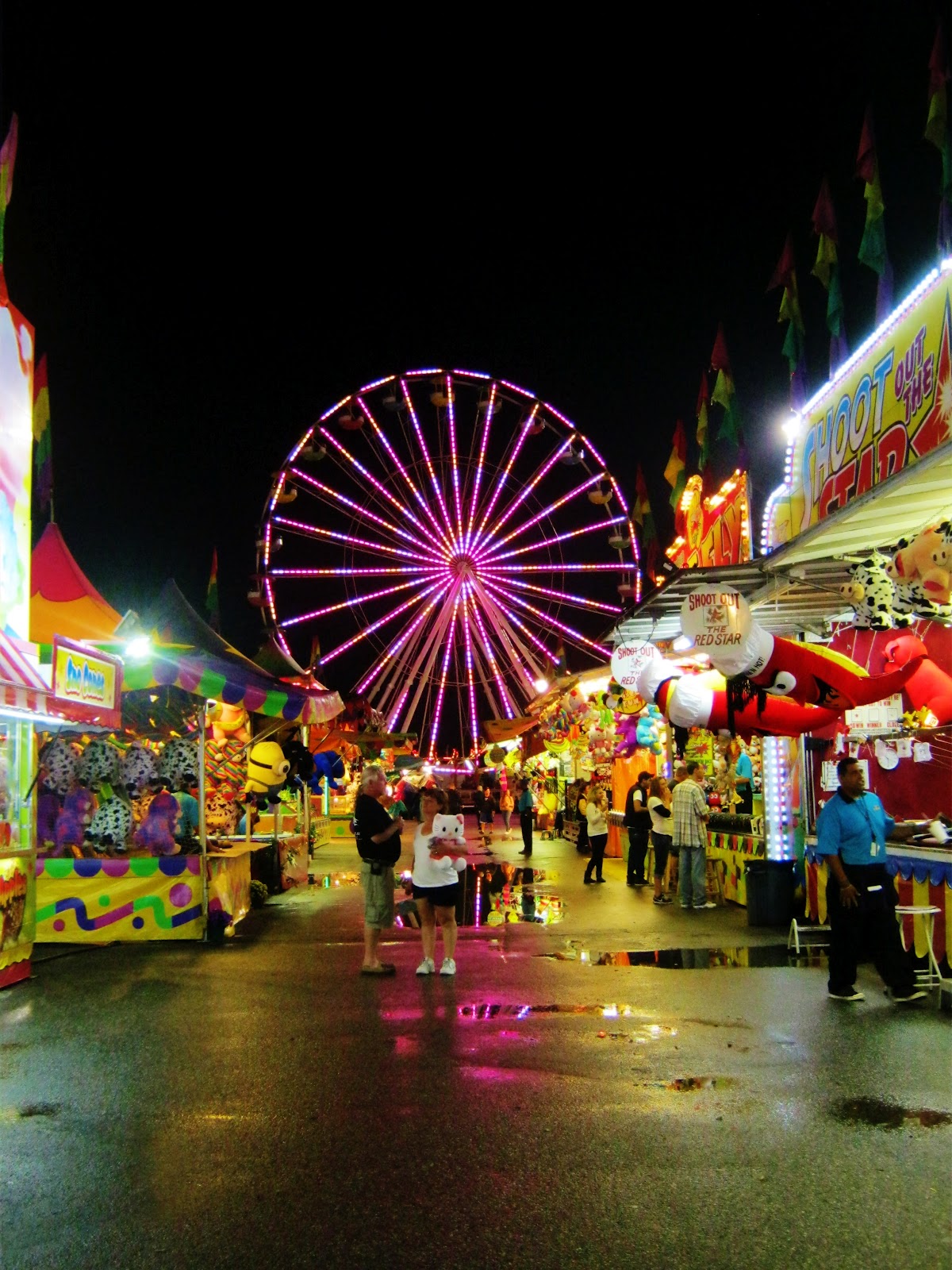Dixie Classic Fair