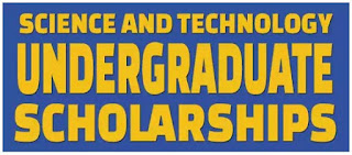 DOST Scholarship Application Form - PDF - Senior High School Philippines