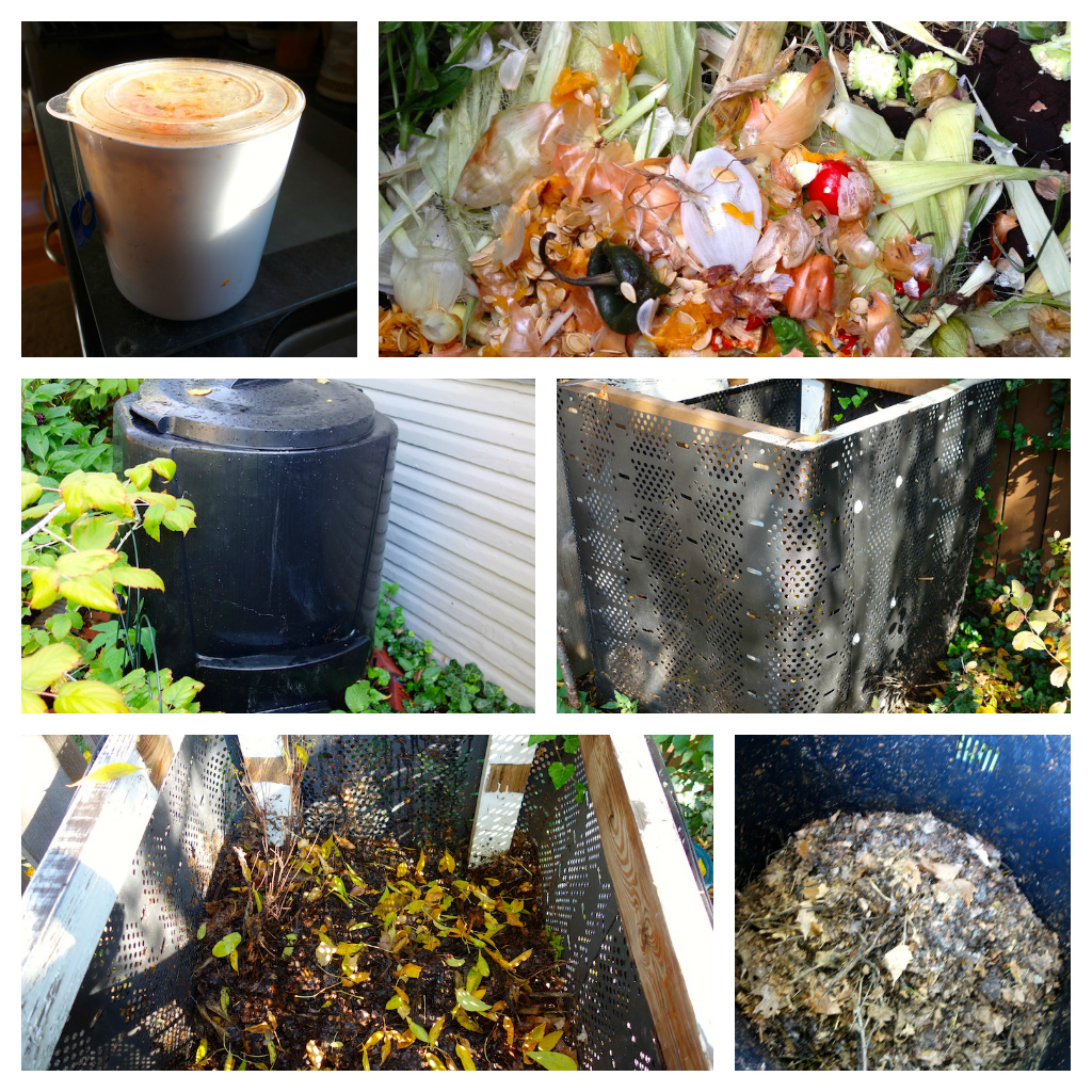 Farm Fresh Feasts: A Recipe for Compost