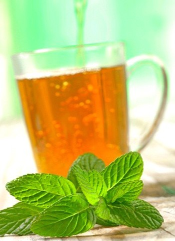 Refrescos e Infusiones Saludables: La Menta