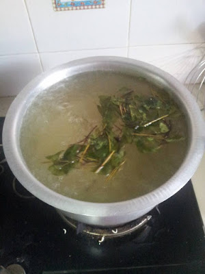 Herba Adalah Penawar Pelbagai Penyakit. : DAUN RERAMA HIJAU ASLI ...