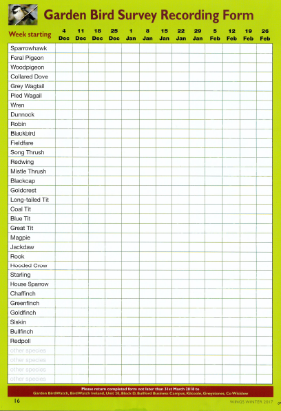 BirdWatch Ireland's Conservation Team blog: The 2018/19 Irish Garden ...