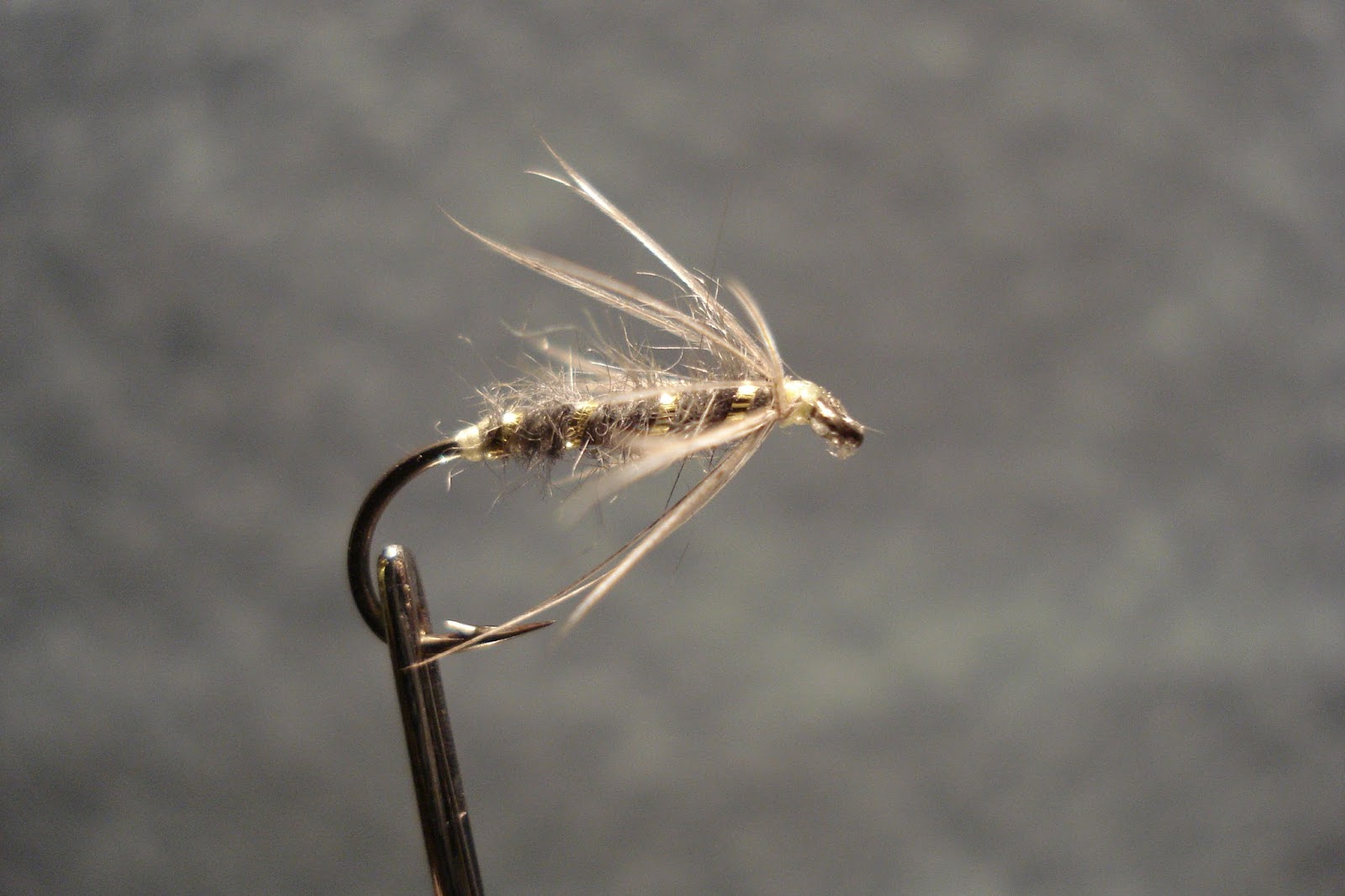 SOFT HACKLES, TIGHT LINES: Blue Dun Hackle
