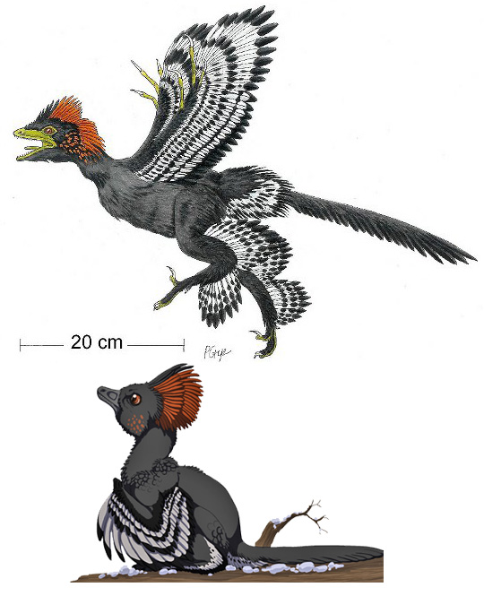 EPISCOPHAGUS: junio 2012