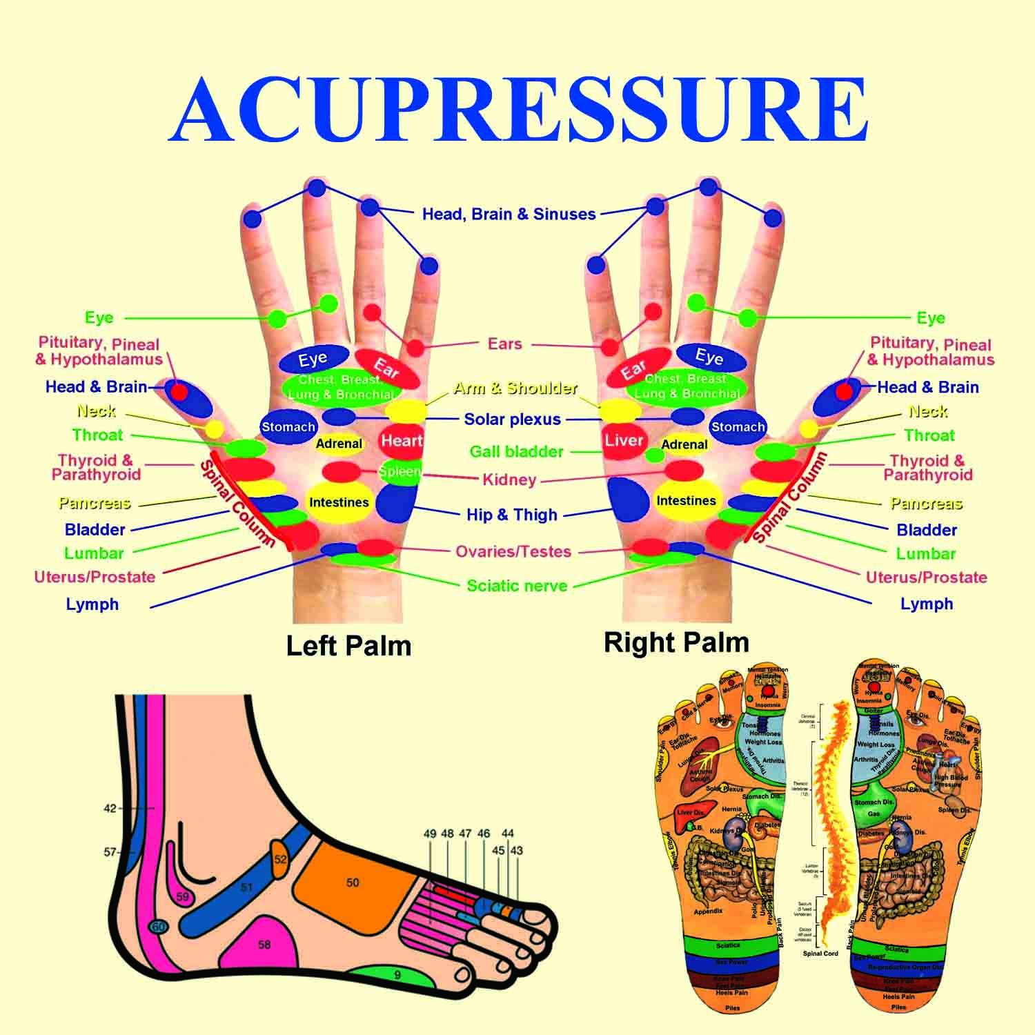 HIJAMA ( Blood Cupping )