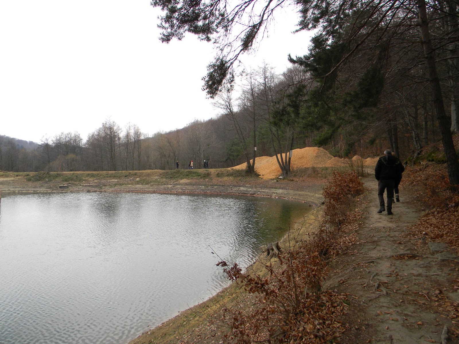 Blog de Calatorii si Drumetii Montane.: Lacul de la Codlea ,jud.Brasov ...
