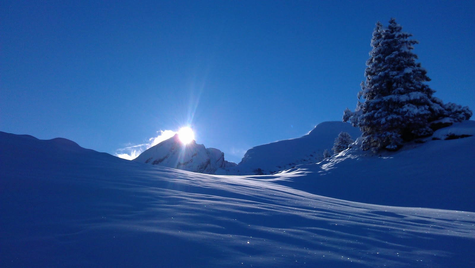 AlpenSim: Spuren auf den Selun
