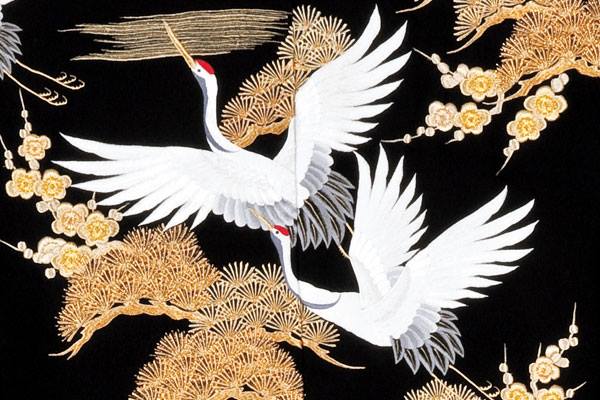 ENKA MANIA: Especial A Lenda dos Mil Tsurus!