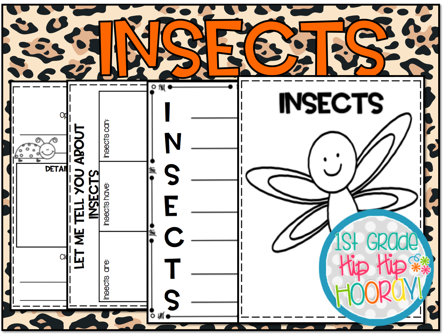 1st Grade Hip Hip Hooray!: Let's Explore Insects