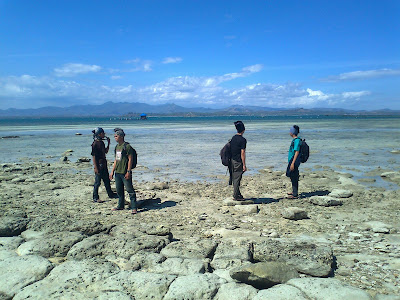 Komunitas ATLAS: PPLH Puntondo