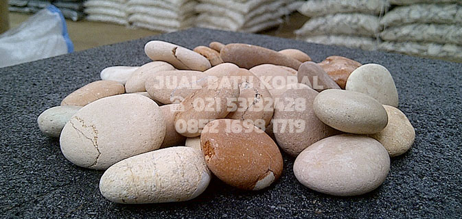 JUAL BATU KORAL KUPANG PINK MURAH - JAKARTA TANGERANG - JUAL BATU ALAM ...