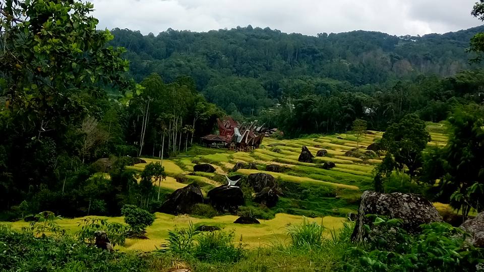 Toraja Tourist Destination Part 1 ~ Sulawesi Indah Tour and Travel