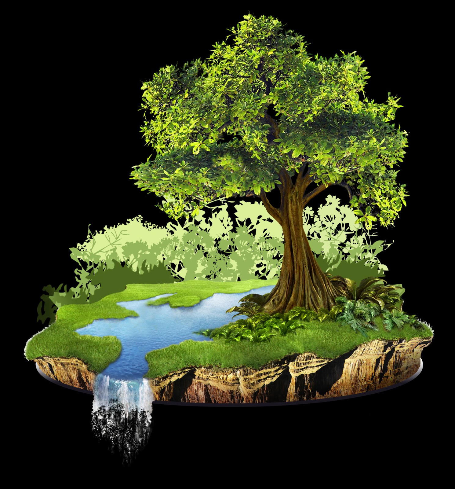 Barani vijaykumar: Save Trees - Plant a Tree & Save the earth