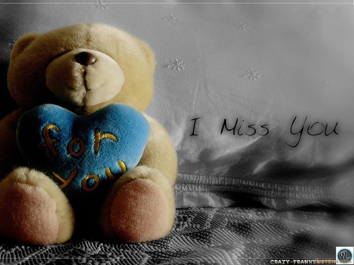 Teddy Bear Profile Pictures | Wallpaper Photo