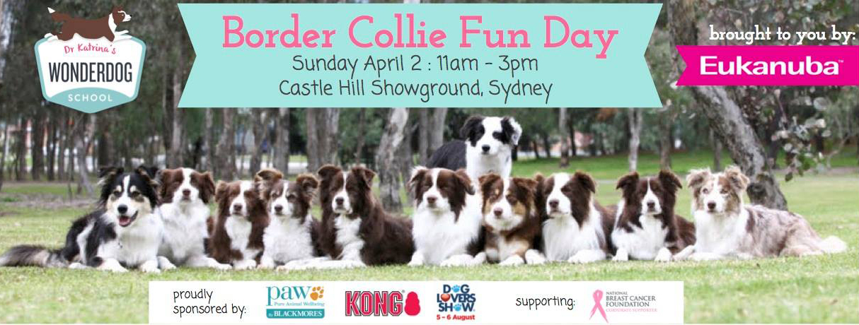Border Collie Fun Day 2017 – April 2 | Australian Dog Lover