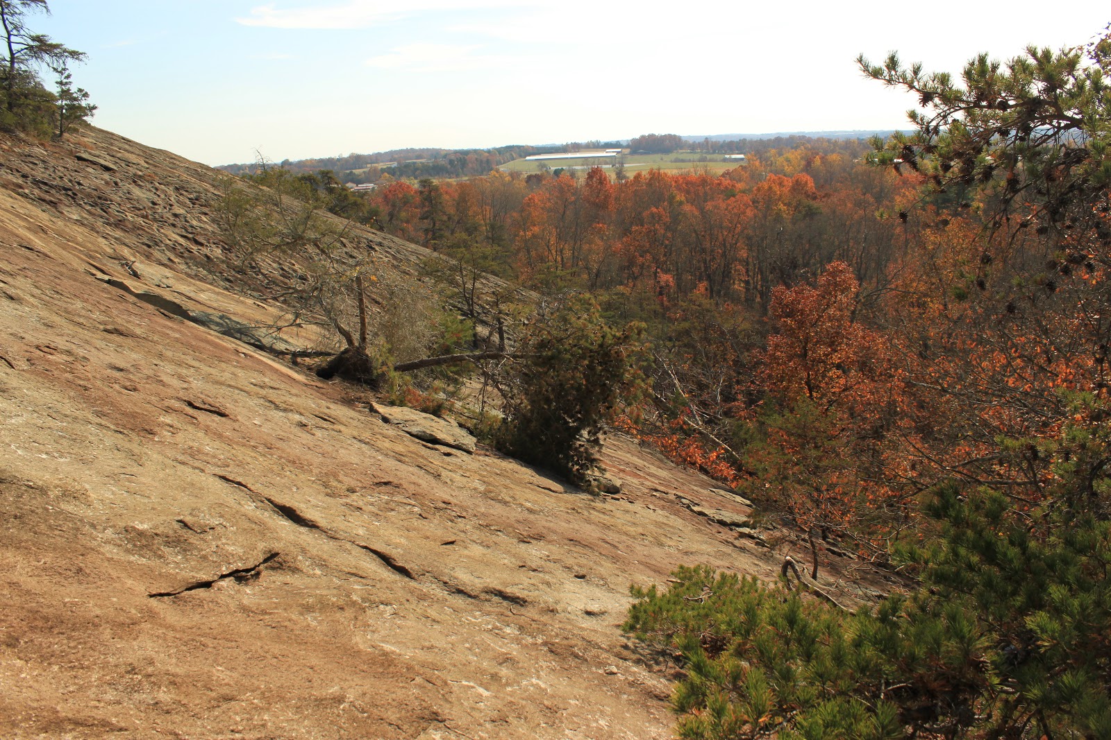 Til the Last Hemlock Dies: Rocky Face Mountain Recreation Area