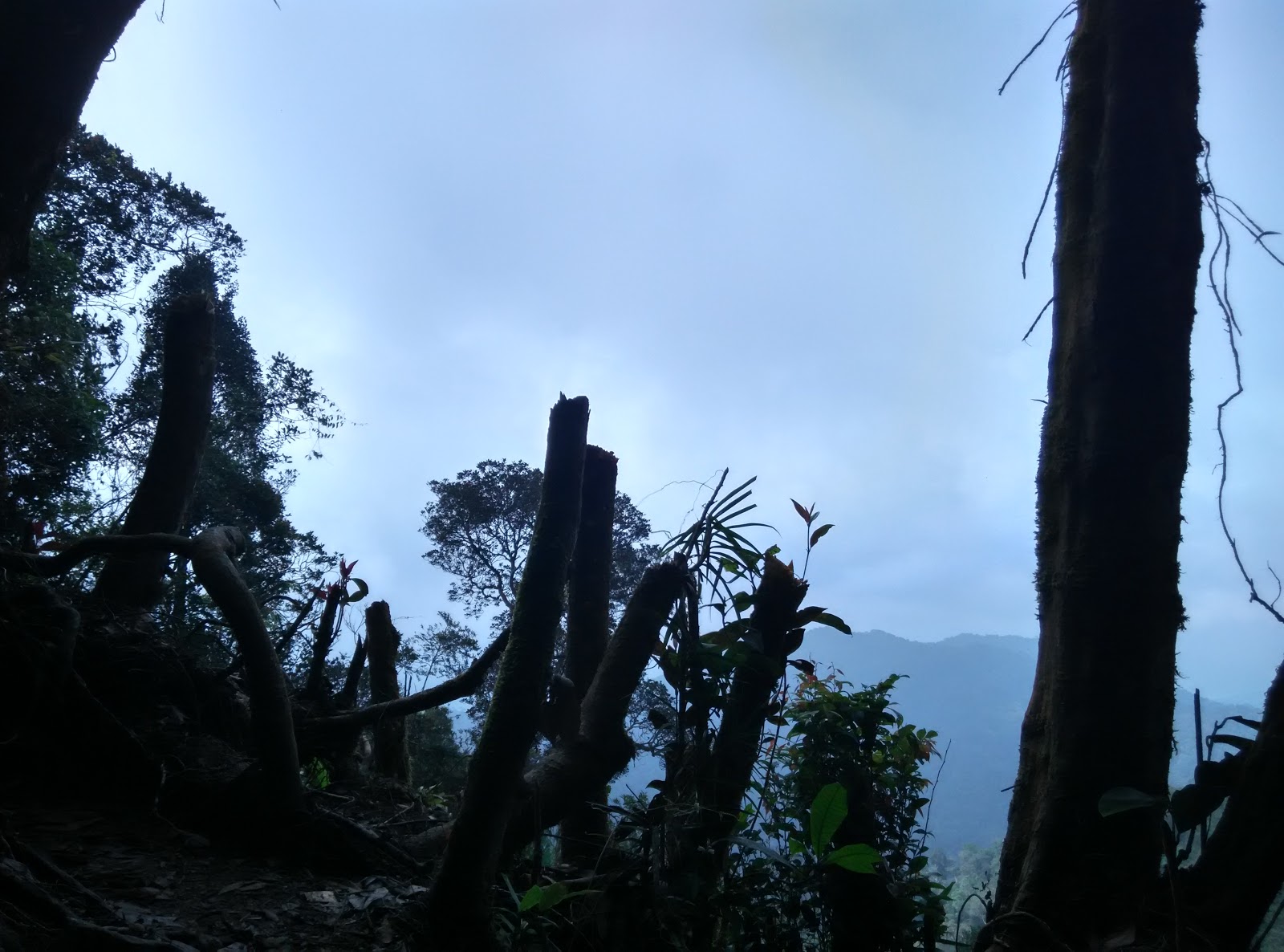 Live, where your heart finds life ツ: GUS: Gunung Gap- Gunung Ulu Tranum ...