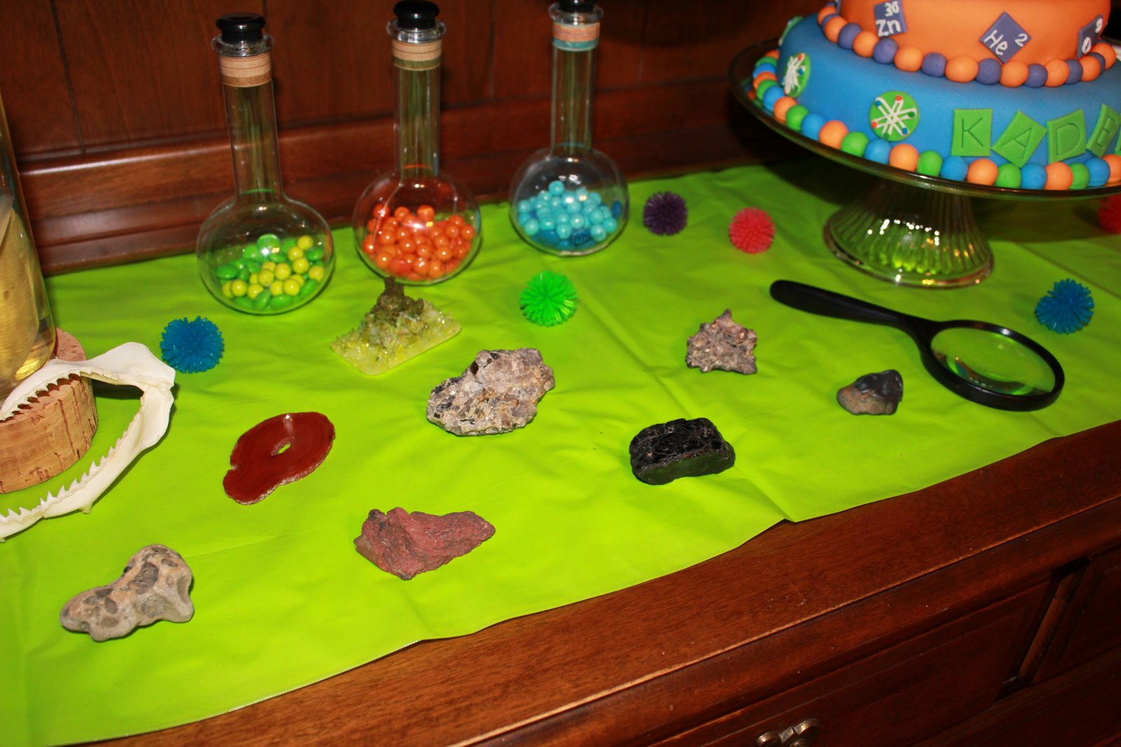 THE MUDDY PRINCESS: Science Birthday Party