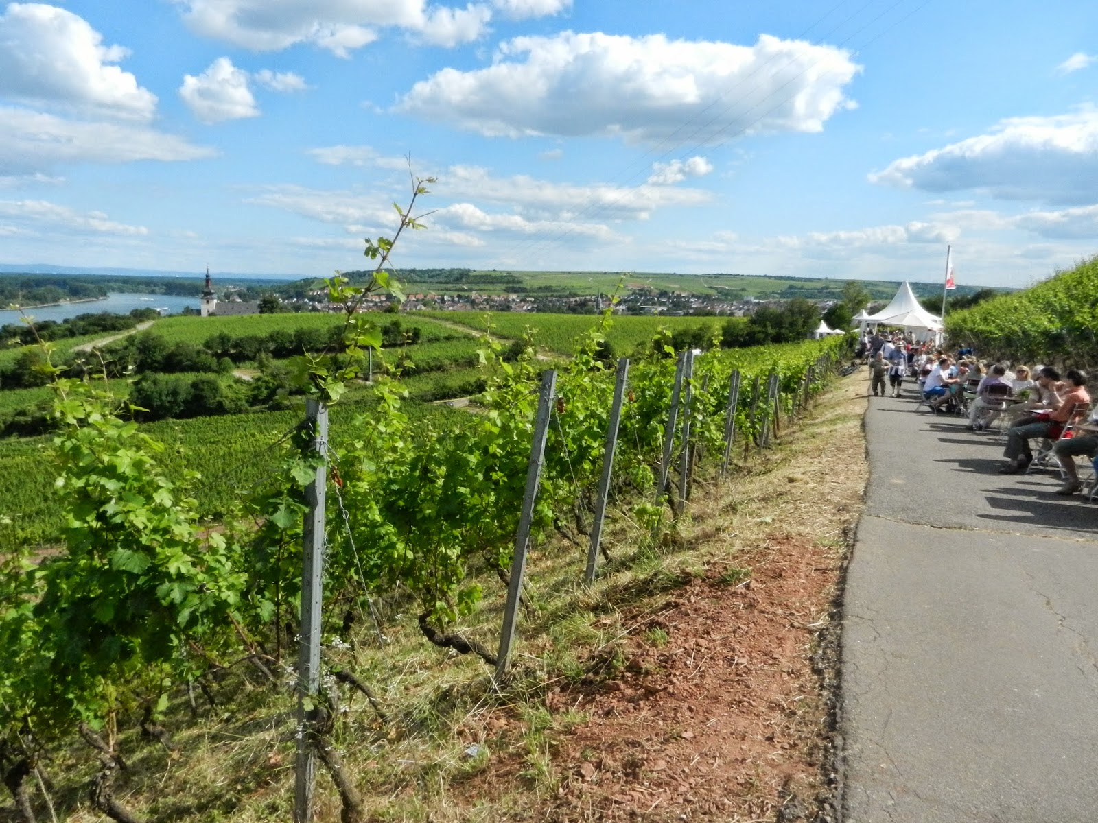 schiller-wine: Tasting the Wines of the Roter Hang (Red Slope ...