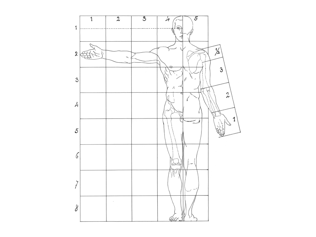 Research of Artistic Anatomy: Paul Richer "8heads Canon" (1893)