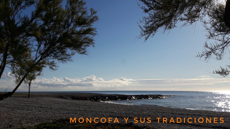 MONCOFA Y SUS TRADICIONES: La playa de Moncofa vista desde la Vda ...