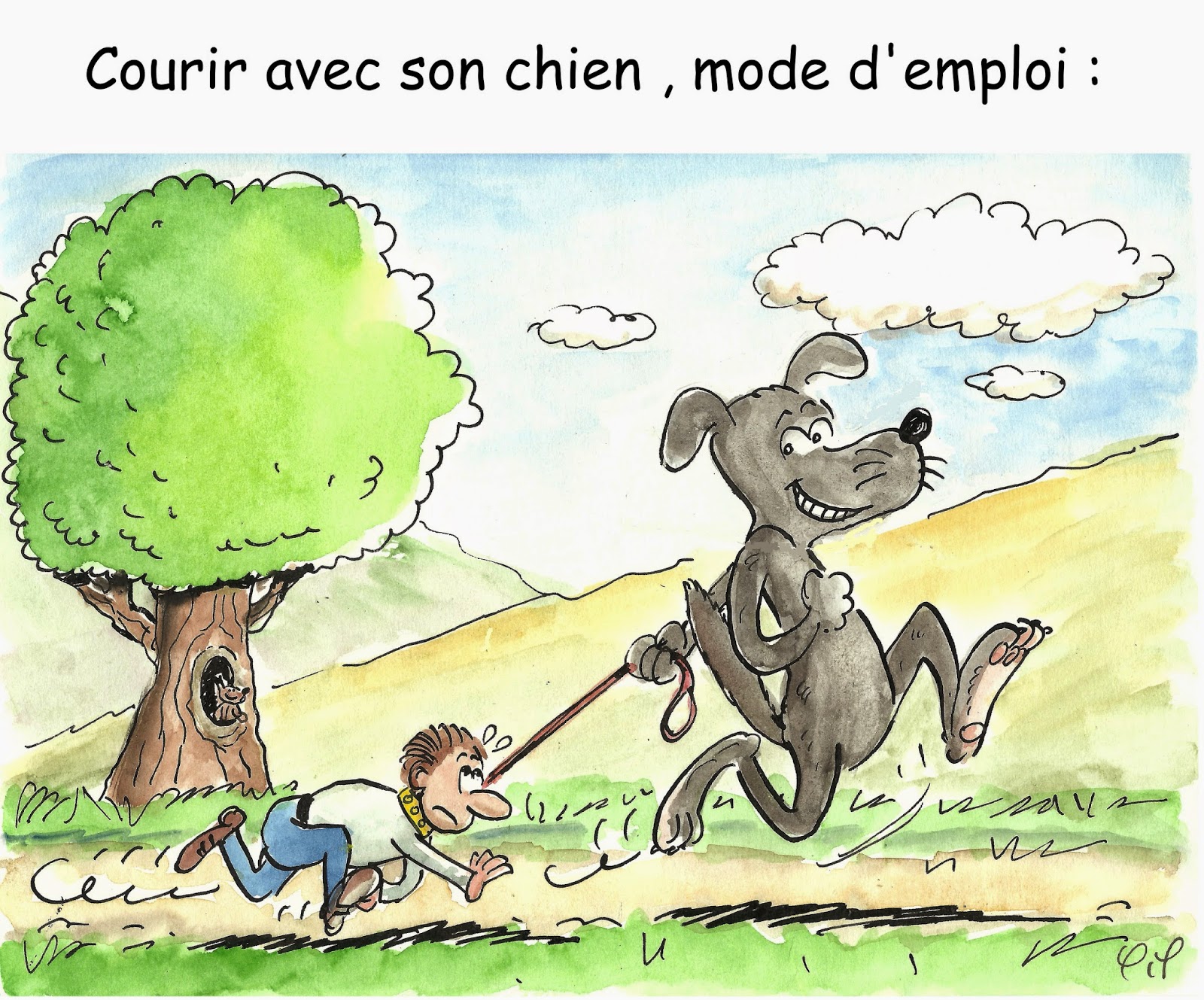 La mouche Ducoche: Comment courir avec son chien