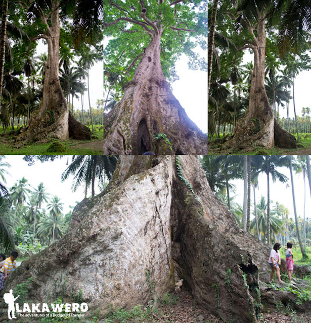 Lakawero: A Day Tour to Governor Generoso, Davao Oriental