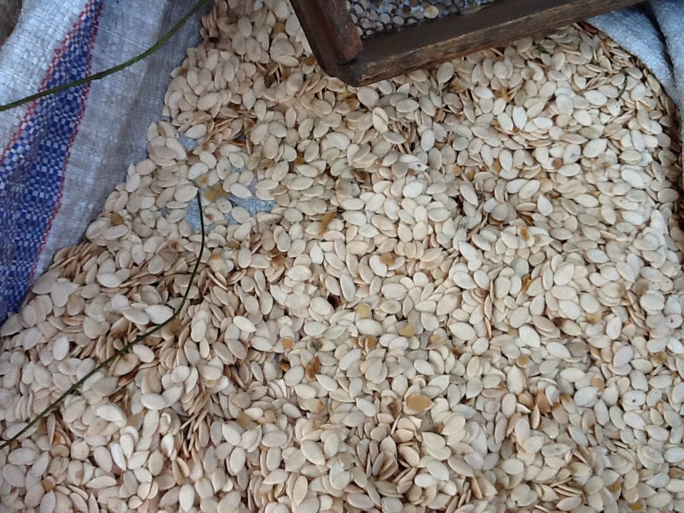 Comidas Tipicas Angolana: Galeria de Fotos