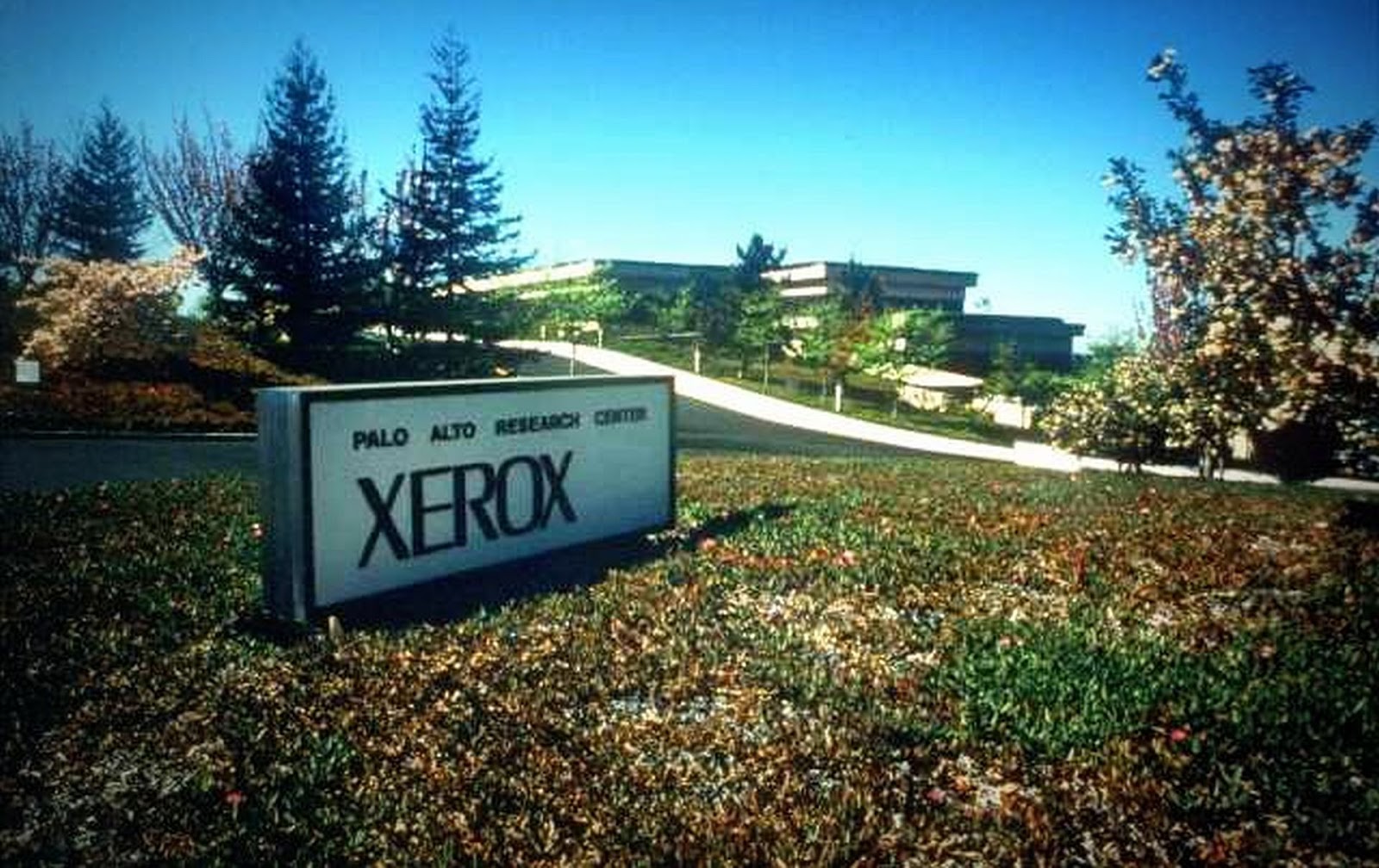 El Chico de las fotocopias: El fin de un mito. Xerox