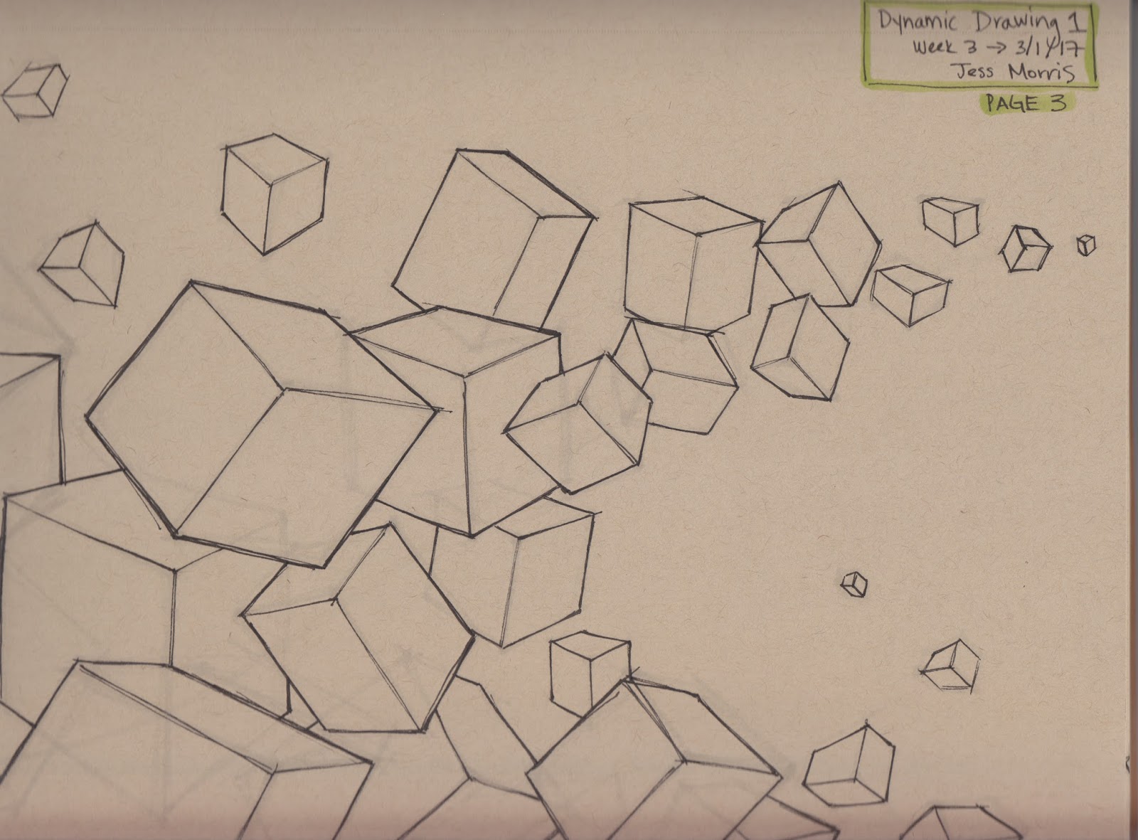 Jess Morris Animator: Class Review: Dynamic Sketching 1 with Peter Han ...