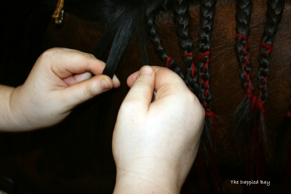 The Dappled Bay: Tutorial: Scalloped Button Braids