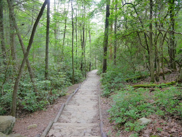 American Travel Journal: Benton Falls - Cherokee National Forest