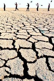 El Contador Virtual: El principio de la Escasez al servicio de la ...