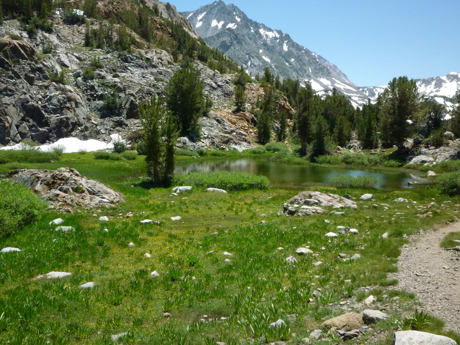Gladsome Lights: California Mountains - Snow in Springtime