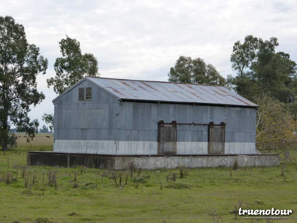 Trueno Tour: REAL AUDIENCIA